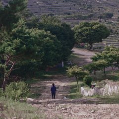 Nobody’s Land - MyDramaList