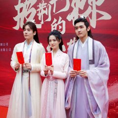 Pi Jing Zhan Ji De Da Xiao Jie - MyDramaList