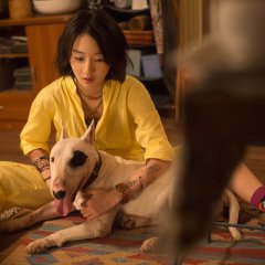 This Is Not What I Expected (2017) - MyDramaList