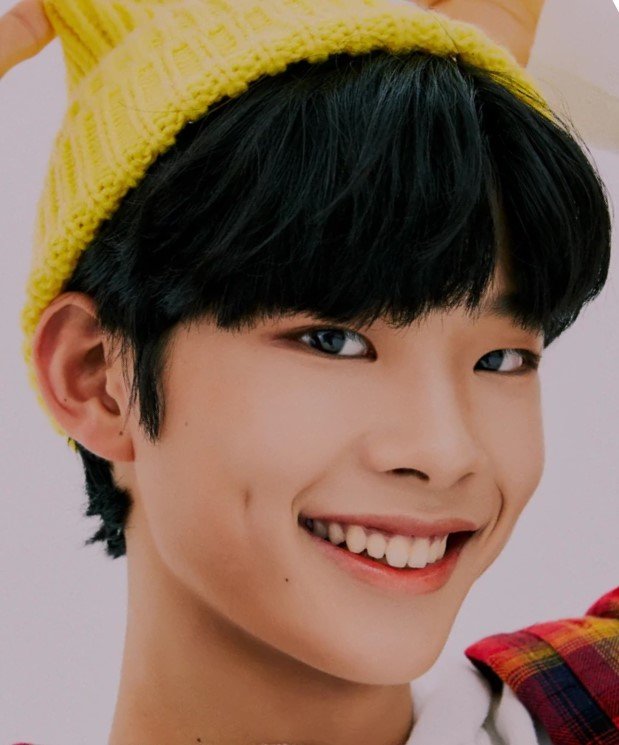 Sion Kim's Instagram, Twitter & Facebook on IDCrawl