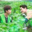 Kiss × Kiss × Kiss: Melting Night (2022) - MyDramaList