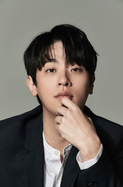 Park Jeong Min to star in MAMAMOO Hwasa's new music video ...