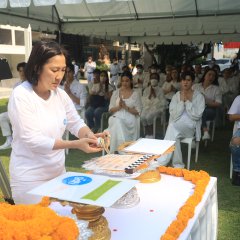 Project D - MyDramaList