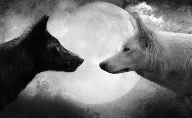 mdl: dark mode vs light mode pick one | Game - MyDramaList