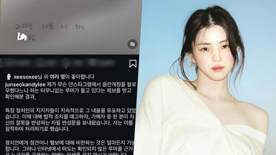 Han So Hee clarifies liking a Reform Party post on social media ...