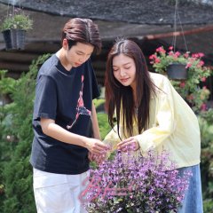 B-Friend - MyDramaList