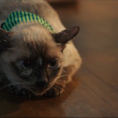 Petrichor (2024) - MyDramaList