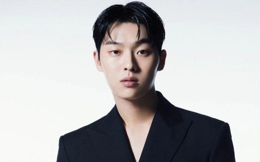 Choi Hyun Wook in talks to join the new K-drama by 'Ms. Incognito ...