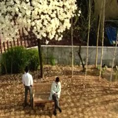 Spring Waltz - MyDramaList