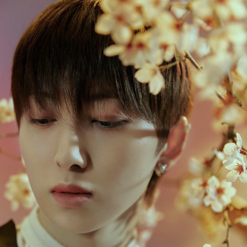 Fuma (村田 風雅) - MyDramaList