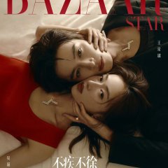 The Double - MyDramaList