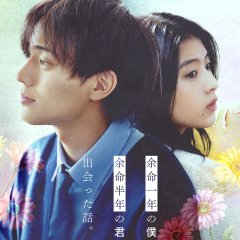 Yomei Ichi Nen no Boku ga, Yomei Hantoshi no Kimi to Deatta Hanashi. (2024) - MyDramaList