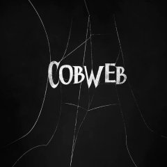 Cobweb (2023) - MyDramaList