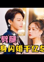 Zha Nan Tao Hun, Ta Dang Chang Gai Jia Shou Fu - MyDramaList