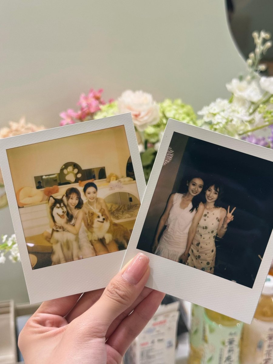 Heart Signal Season 8 Photos #6513046 - MyDramaList