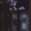 Moonlight (2021) - MyDramaList