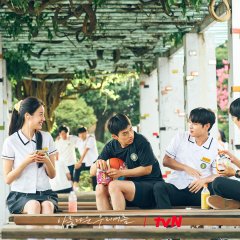 tvN O'PENing: Our Beautiful Summer - MyDramaList