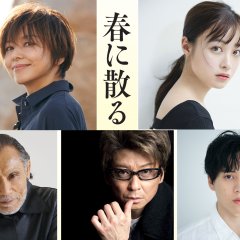 One Last Bloom (2023) - MyDramaList