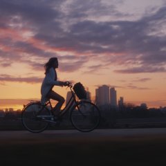 Flying Colors - MyDramaList