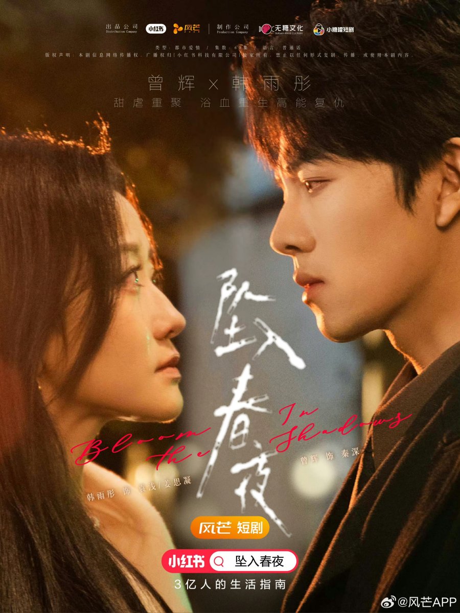 Bloom in the Shadows Review (Chinese Drama 2025) | Tat - MyDramaList