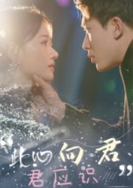 Ci Xin Xiang Jun Jun Ying Shi - MyDramaList