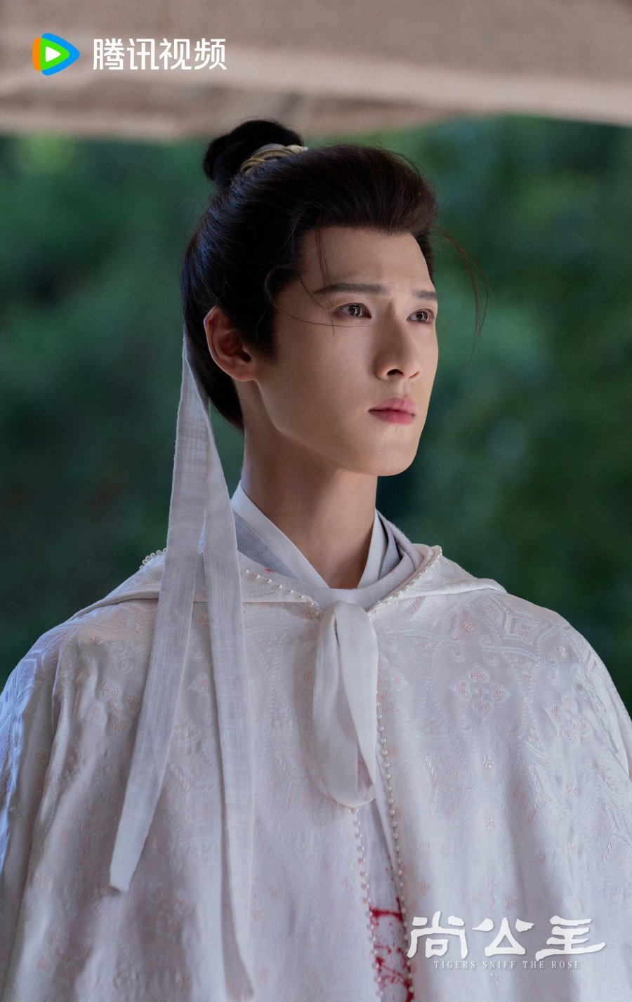 'Blossom' Meng Zi Yi and Li Yun Rui reunite for 'Tigers Sniff the Rose ...