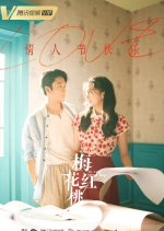 Mr. & Mrs. Chen (2024) - MyDramaList