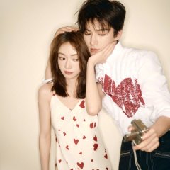 The Double - MyDramaList