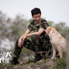 A Dog's Tale (2021) - MyDramaList