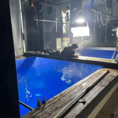 Bad-Memory Eraser - MyDramaList