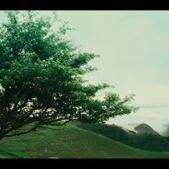 Under the Hawthorn Tree (2010) - MyDramaList