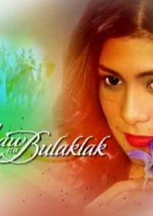 Ligaw na Bulaklak (2008) - MyDramaList
