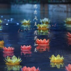 Flying Up Without Disturb - MyDramaList