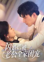 Shan Hun Hou Bei Lao Gong Quan Jia Tuan Chong (2025) - MyDramaList